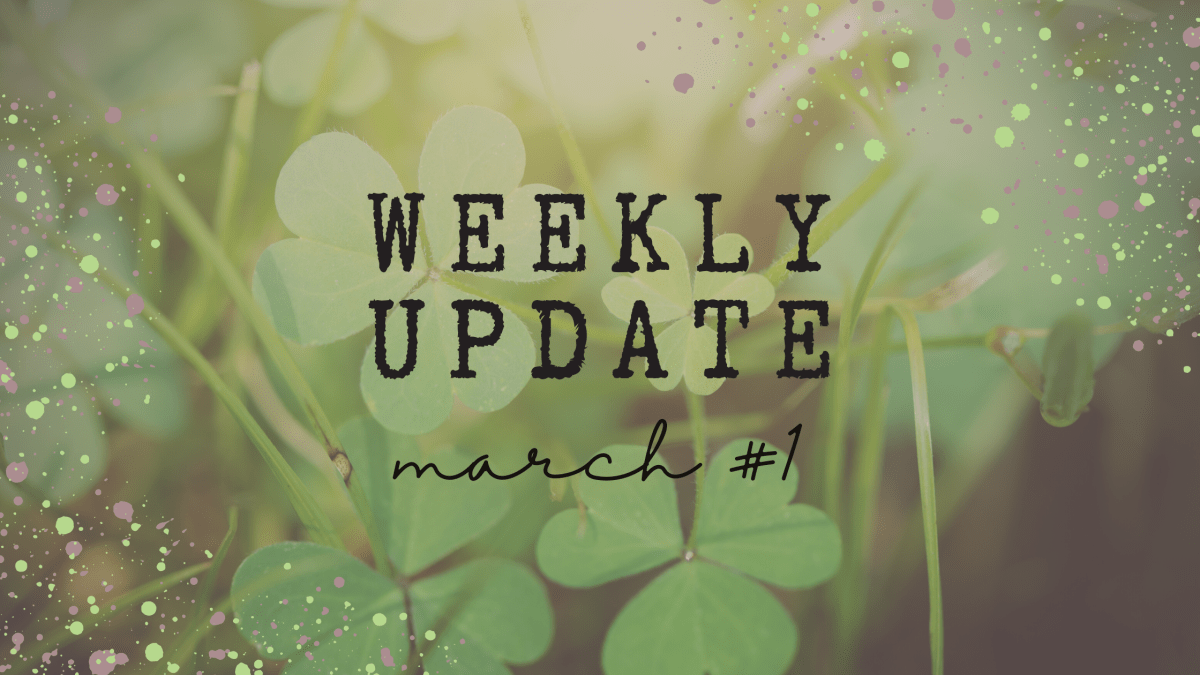Weekly Update – Paperbacks and Planners